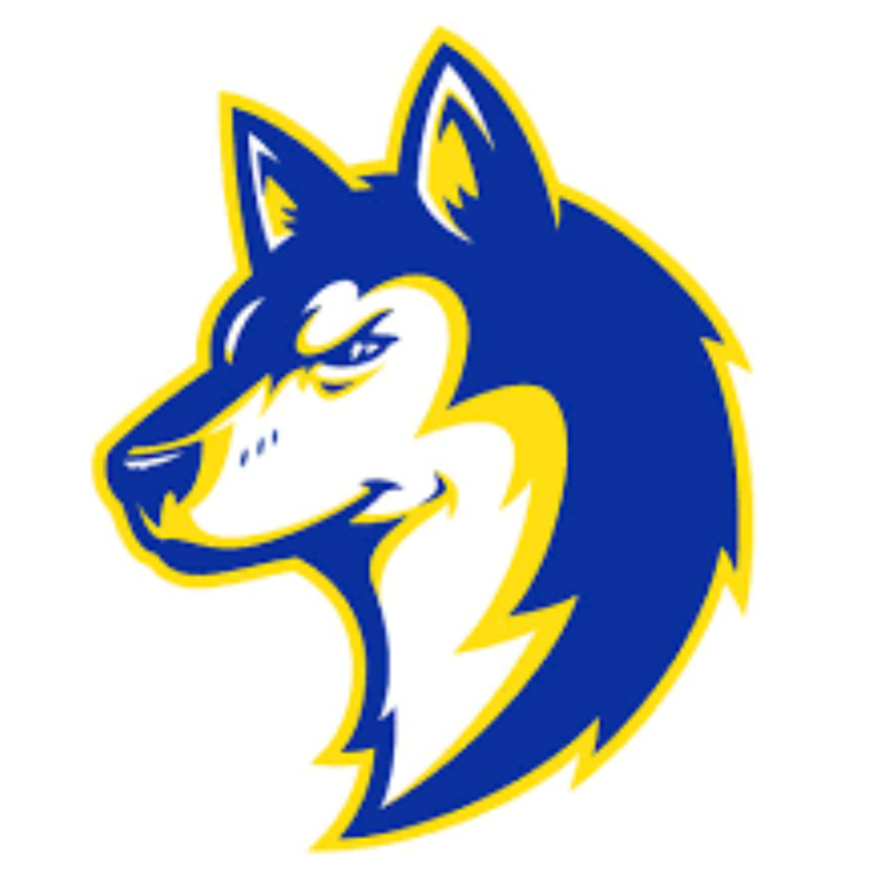 Uconn Huskies Logo Tweak By Frane Gorjanc Dribbble