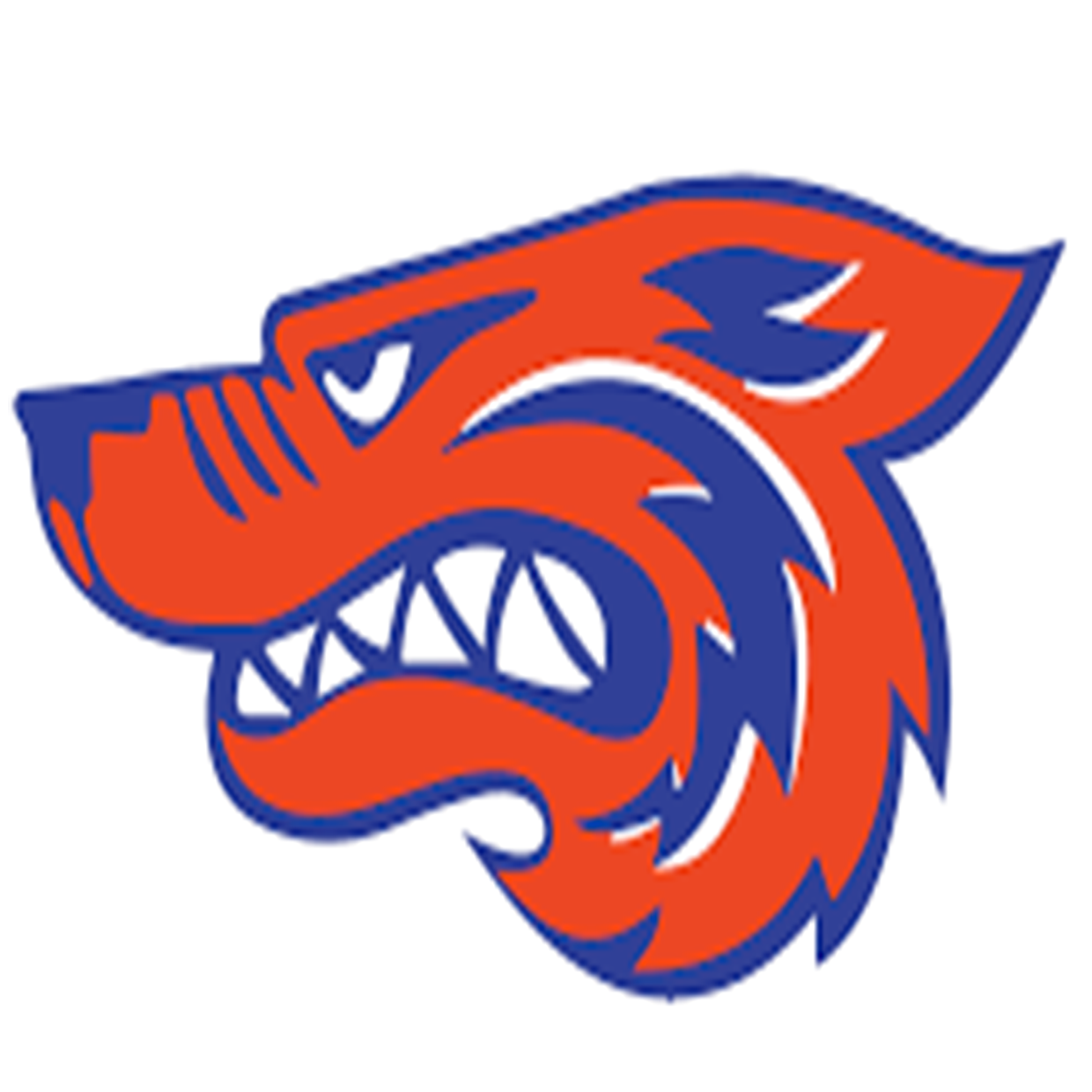 Appleton West Terrors Girls Soccer Appleton WI Scorebooklive